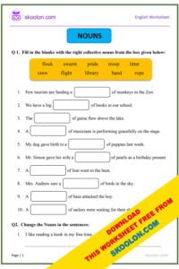 Nouns Worksheet with Answers - skoolon.com