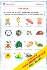 Hindi Grammar Sangya Worksheet with Answers-9 - skoolon.com