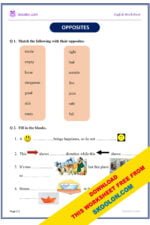 Opposites Worksheet-3 - skoolon.com