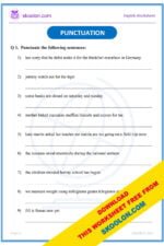 English Punctuation Worksheet-6 - skoolon.com