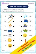 Vilom Shabd Worksheet-1 - skoolon.com